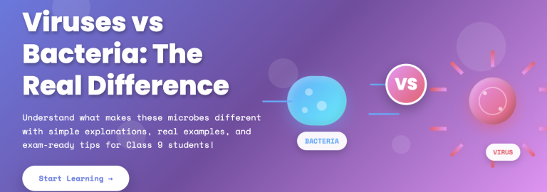 Viruses vs Bacteria - Differences Explained Simply